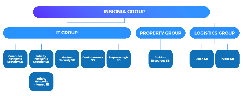 Insignia Networks Sdn Bhd [1339841T]