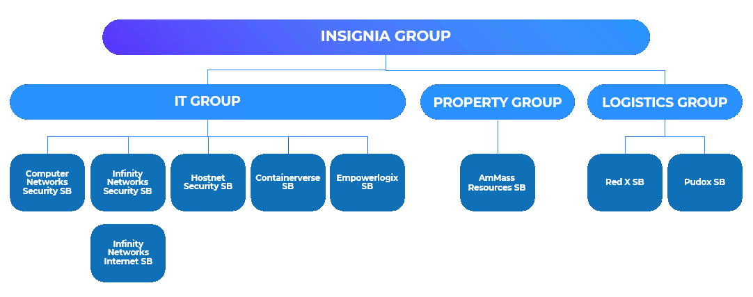 Insignia Networks Sdn Bhd [1339841T]